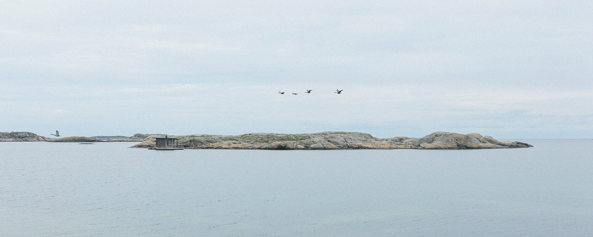 Didriksons® l The Swedish Jacket Brand Since 1913