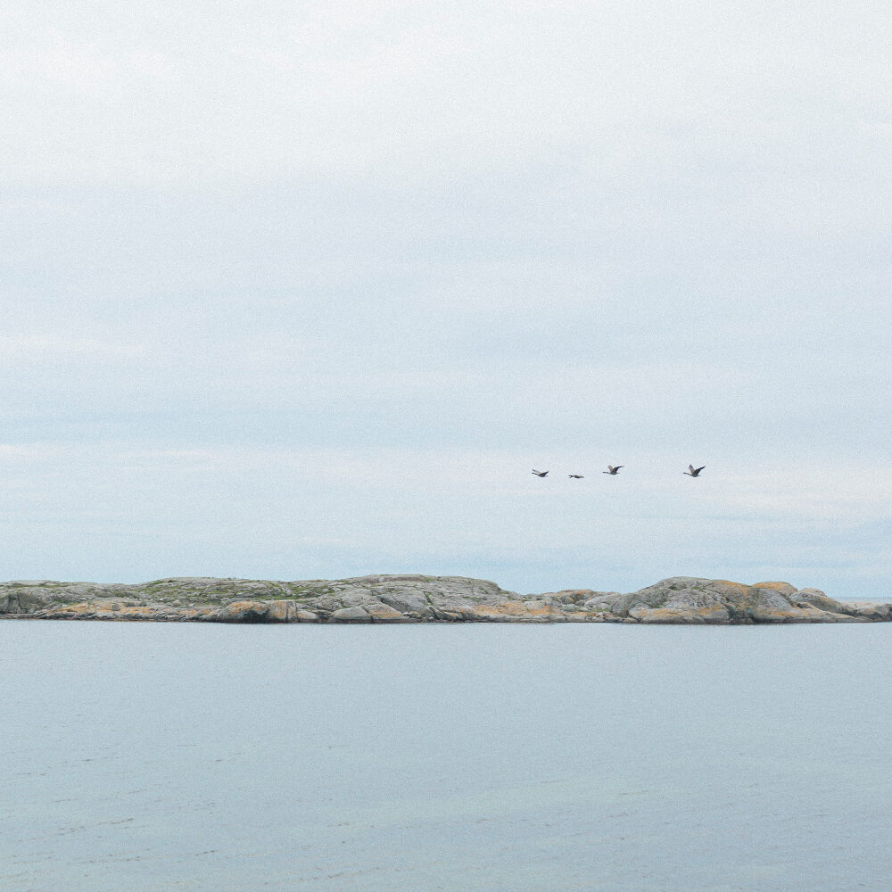 Didriksons® l The Swedish Jacket Brand Since 1913